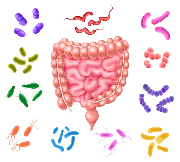 Tips To Build Your Child’s Gut Microbiome (Video) - Nutrition4kidsng